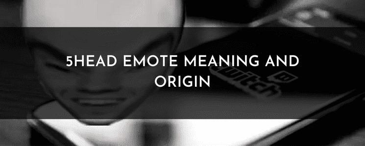 5head Emote Meaning and Origin | StreamerStartup